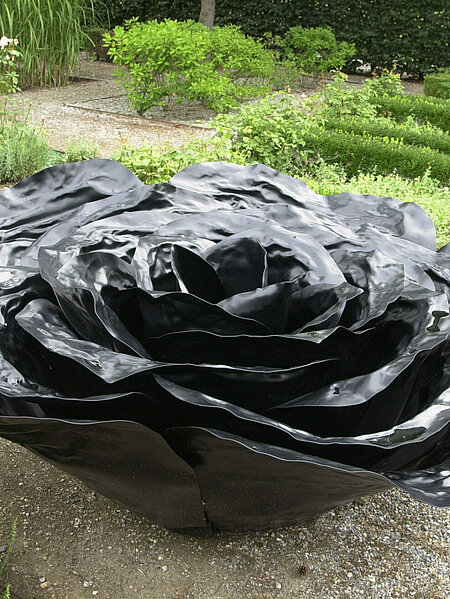 35. Rose: 20 Museen und 1 Zoo in Graz und der Steiermark