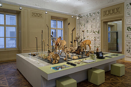 Schule und Kindergarten: 19 Museen und 1 Zoo in Graz und der Steiermark