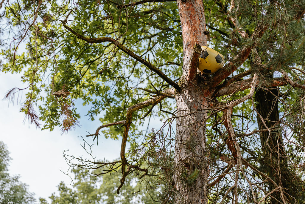 Ausstellungen und Projekte: 20 Museen und 1 Zoo in Graz und der Steiermark