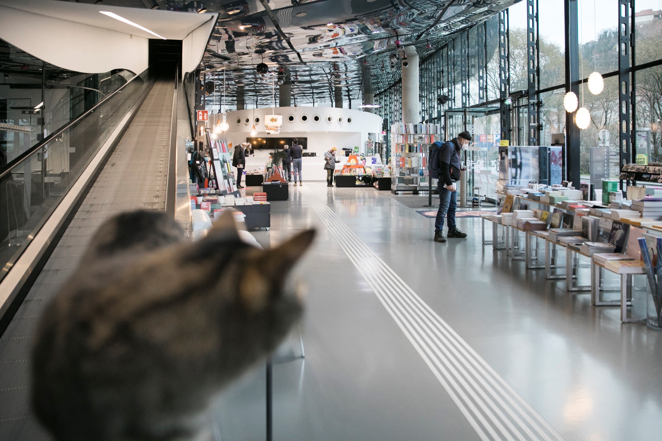 Presse: 20 Museen und 1 Zoo in Graz und der Steiermark